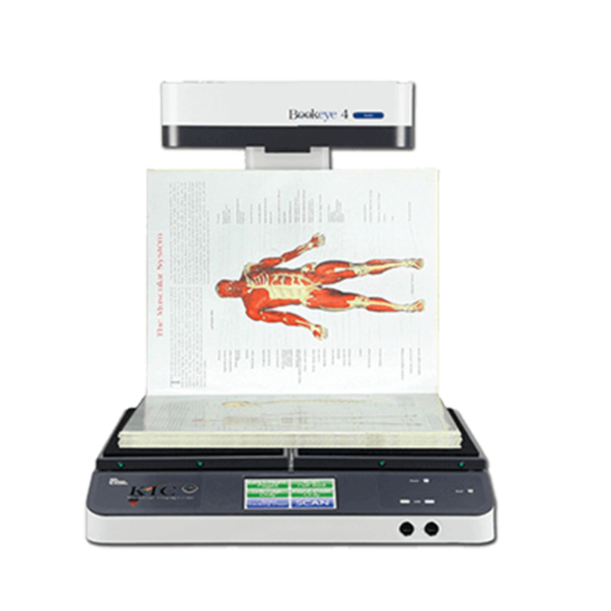 Copy | Print | Scan - Document Management Scanning Services - Book ...