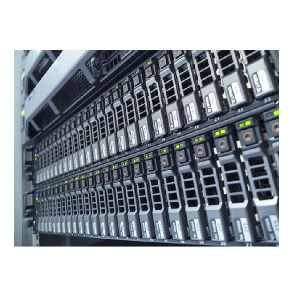 Document | File - Document Management Services - Electronic Archiving ...